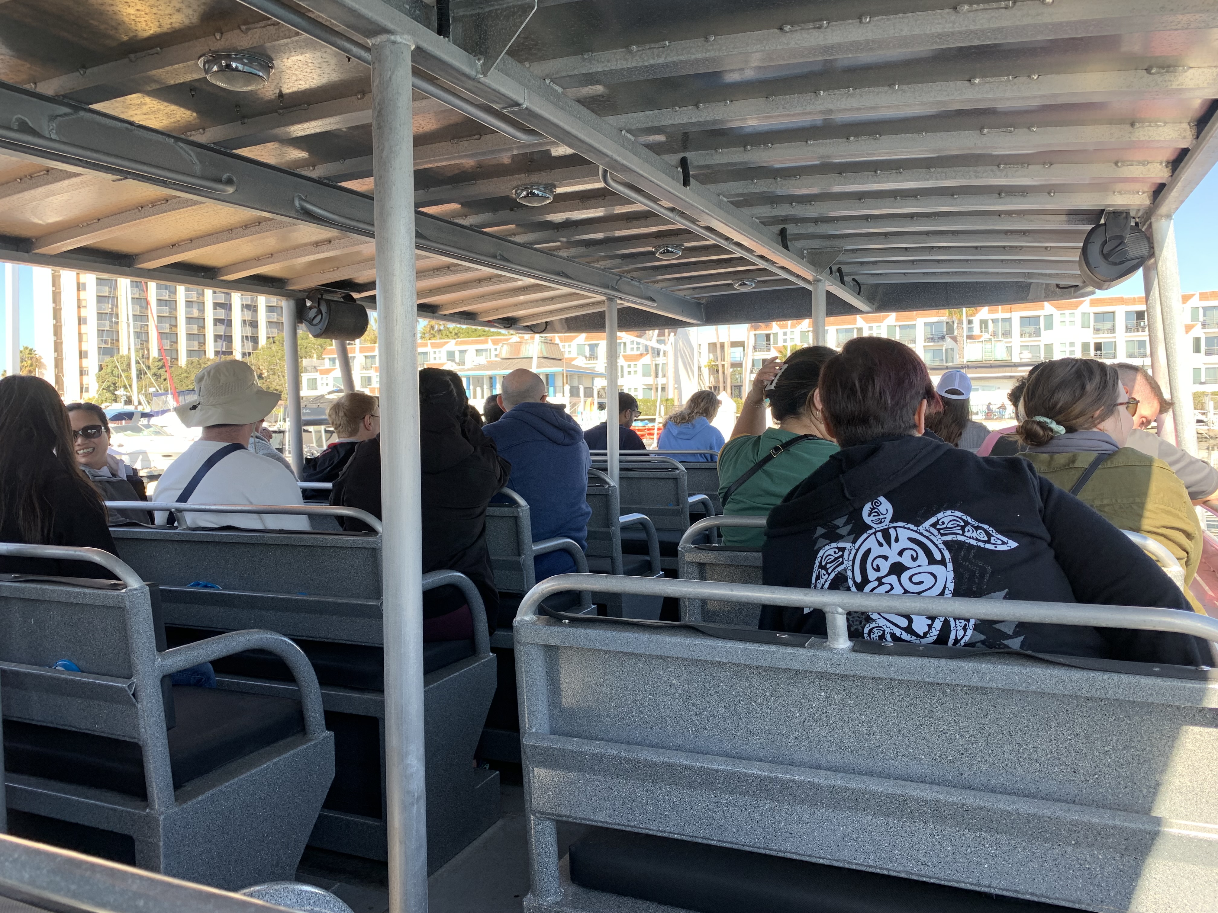 Whale Watching Exploration: Hidden Challenges Beneath the Waves – When ...